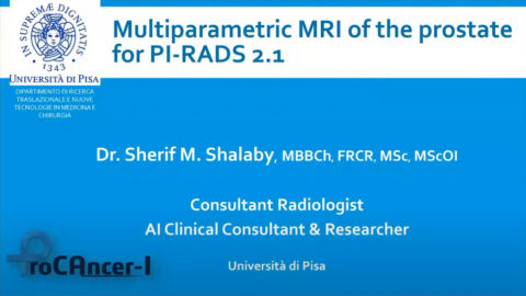 Multiparametric MRI of the prostate for PI-RADS Classification and the ...