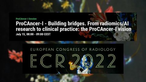 ProCAncer-I | An AI Platform integrating imaging data and models ...